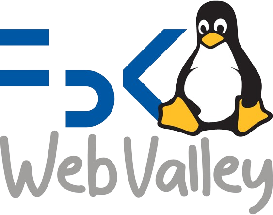 FBK - WebValley